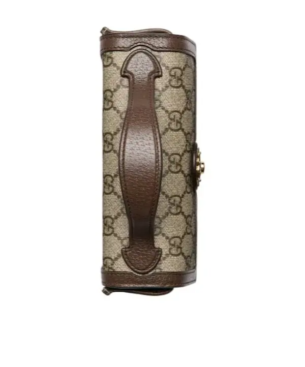Gucci Ophidia Mini Bag - Beige/ebony