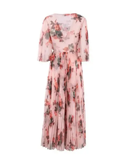 Philosophy Di Lorenzo Serafini Floral Print V-neck Maxi Dress