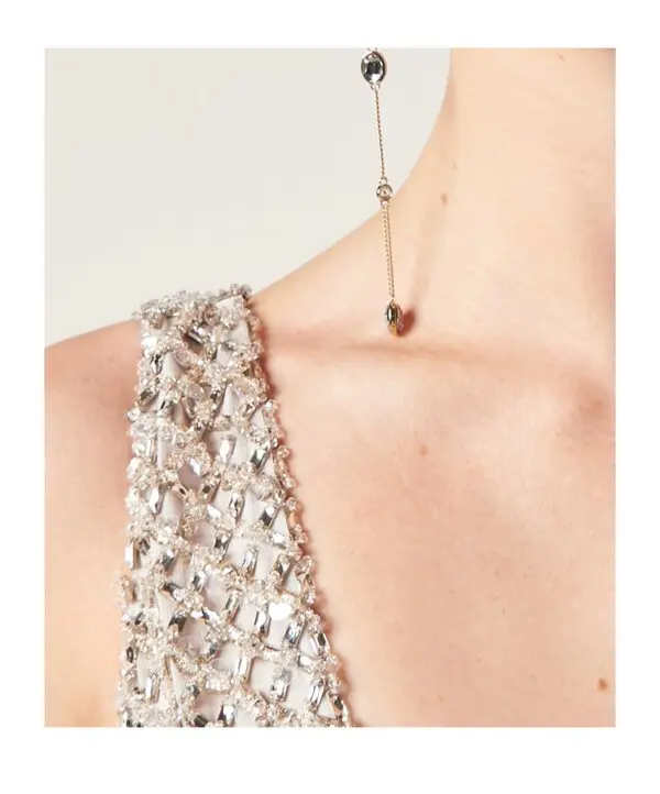 Miu Miu Embroidered Chiffon Dress