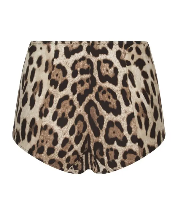 Dolce & Gabbana Leopard-printed High-waisted Bikini Bottoms With Dg Logo
