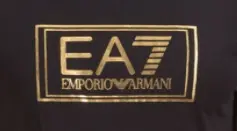 EA7 Logo Decal T-shirt