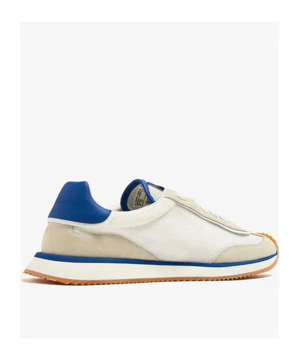 Dolce & Gabbana Dg Logo Printed Low-top Sneakers - Multicolor