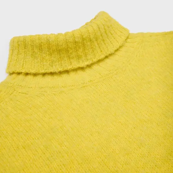 Celine Turtleneck Sweater In Shetland Wool