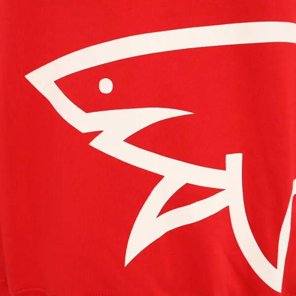 PAUL  SHARK Paul & Shark Hooded Sweater With Graphic Detail