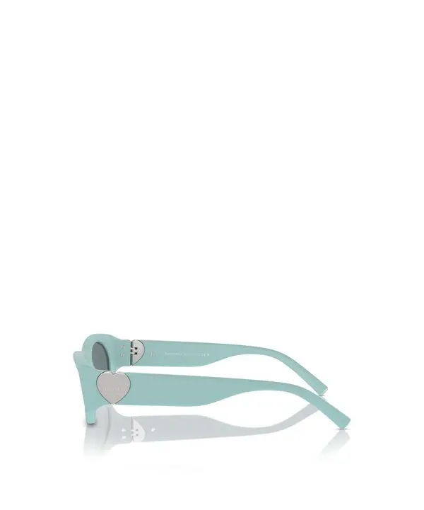 TIFFANY  CO. Tiffany & Co. Full Frame Sunglasses