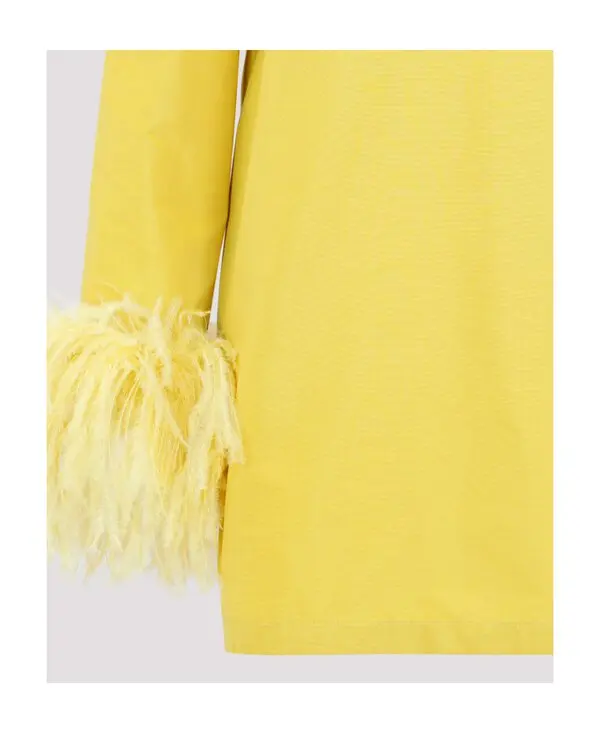 Valentino Garavani Feather-trim Long-sleeve Mini Dress