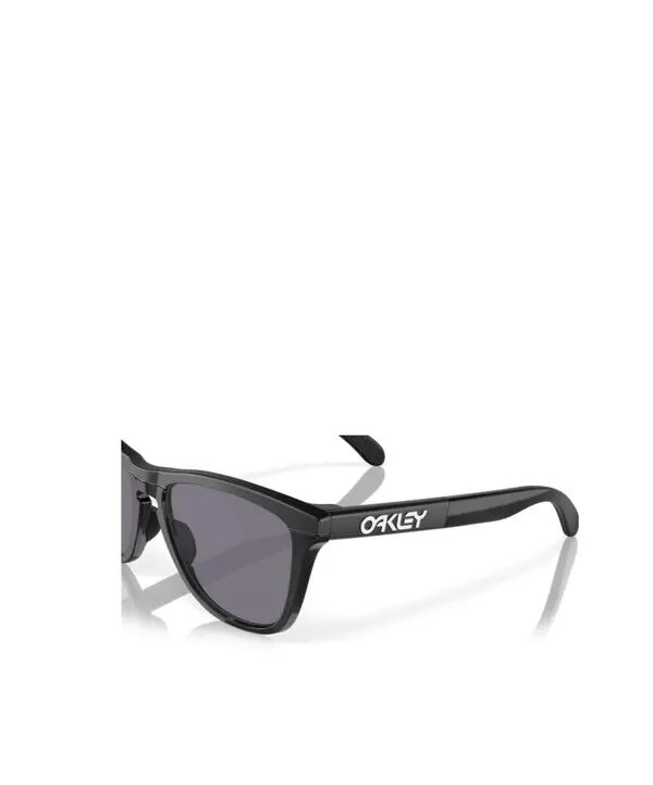 Oakley Frogskins Sunglasses - Gray