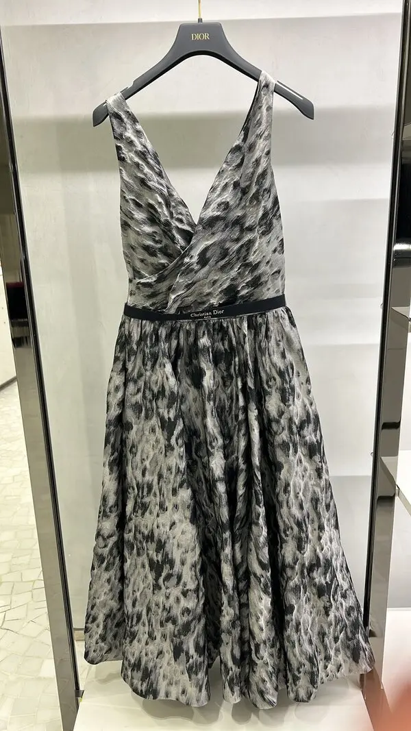 Dior Sleeveless V-neck Printed Pleated Midi Dress