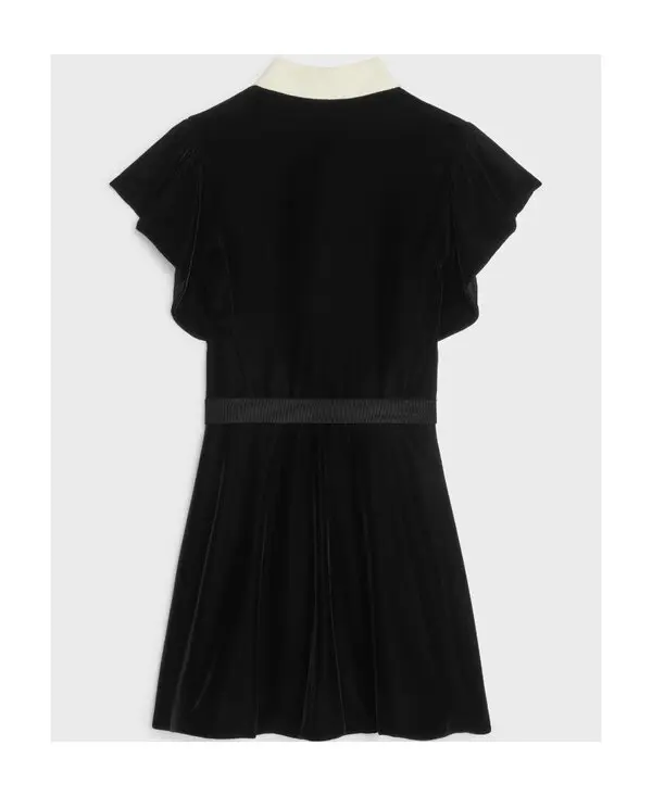 Celine Mini Dress In Flowing Velvet