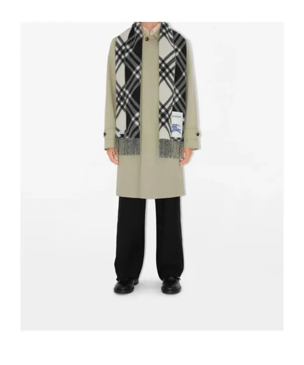 Burberry Checked Fringed-edge Scarf - Black