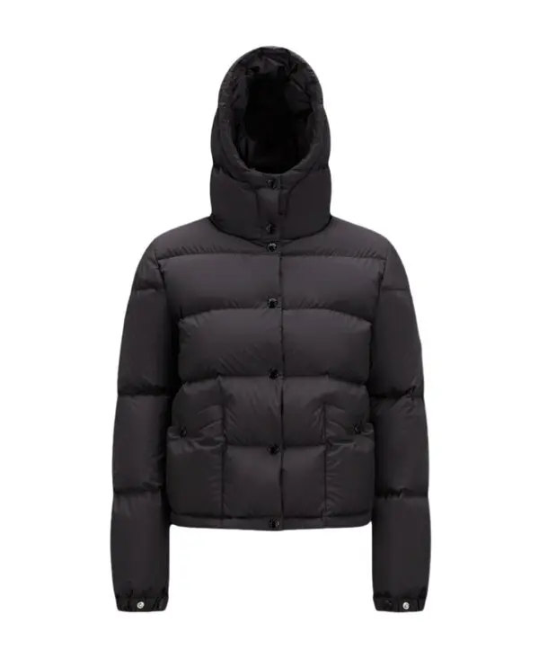 Moncler Ebre Logo Embroidered Button-up Down Jacket