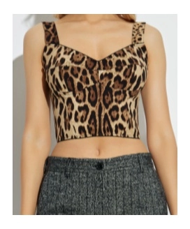 Dolce & Gabbana Leopard Print Bustier Top