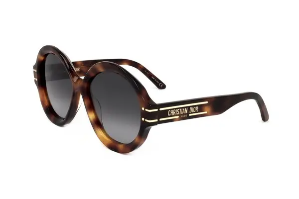 Dior Full Rim Sunglasses