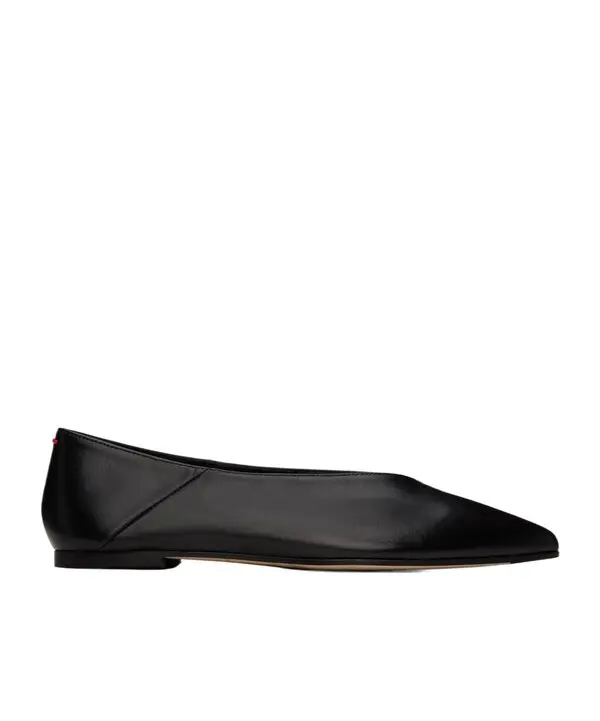 AeydĒ Moa Pointed-toe Flats