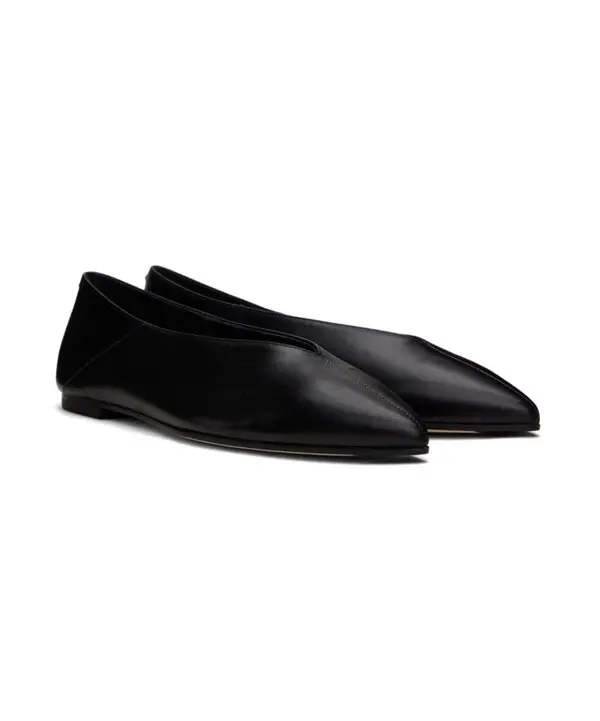 AeydĒ Moa Pointed-toe Flats