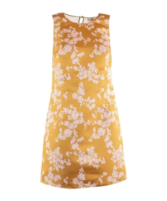 Elisabetta Franchi Sleeveless Floral Print Dress