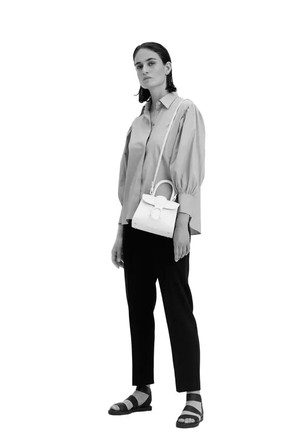Delvaux Brillant Mini Handbag - Brown
