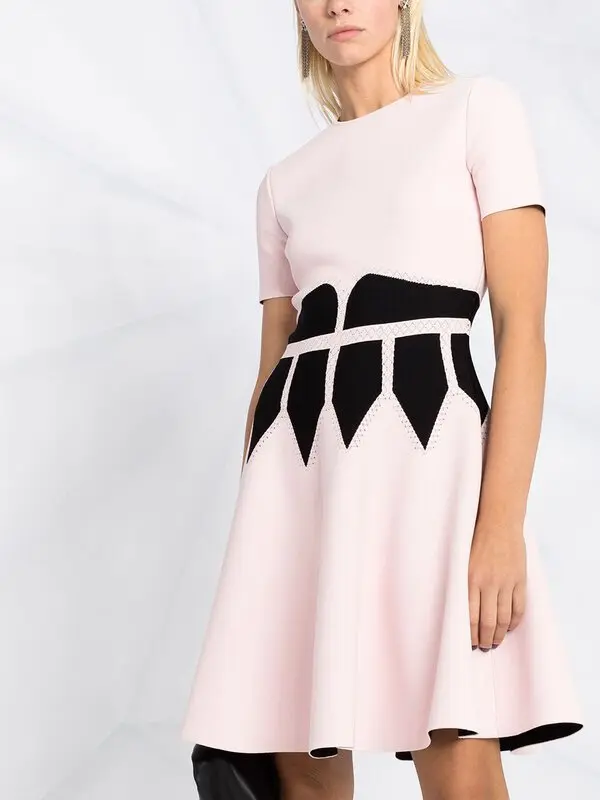 Alexander McQueen Round-neck Short-sleeve Dress