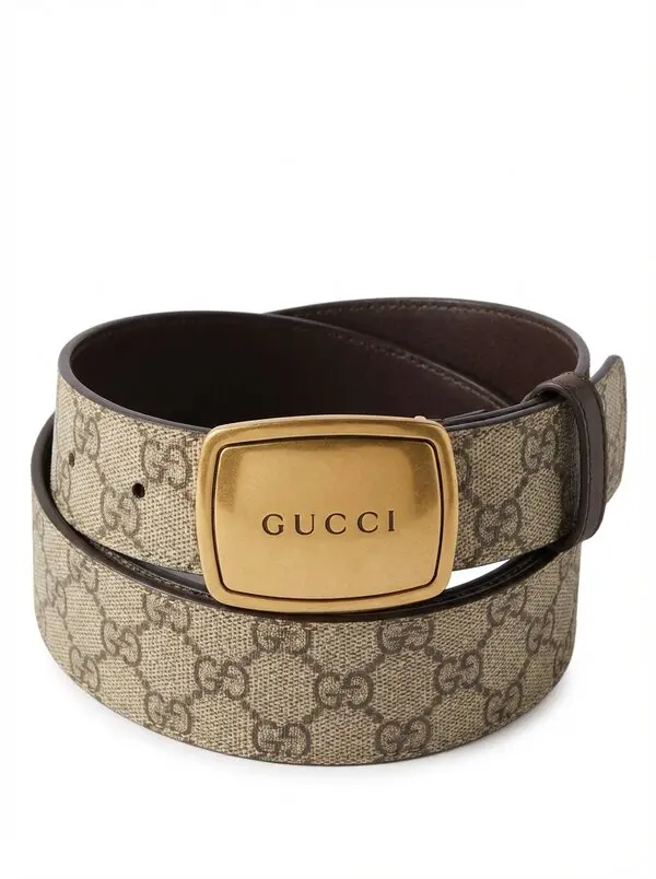 Gucci Belt With Plaque Buckle - Beige And Brown