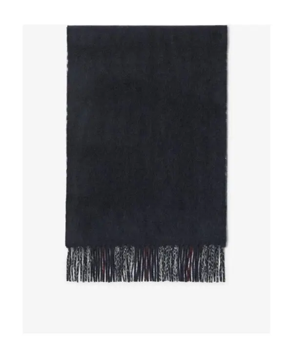 Burberry Check-printed Fringed-edge Reversible Scarf