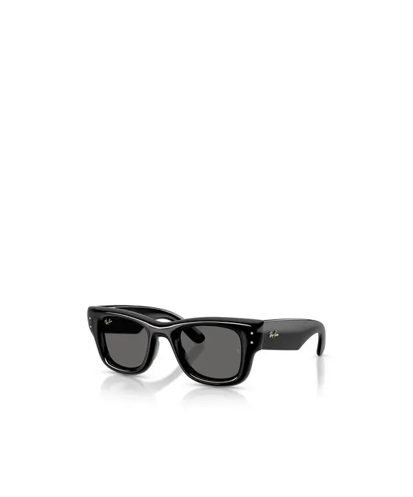 Ray-ban Full Frame Sunglasses