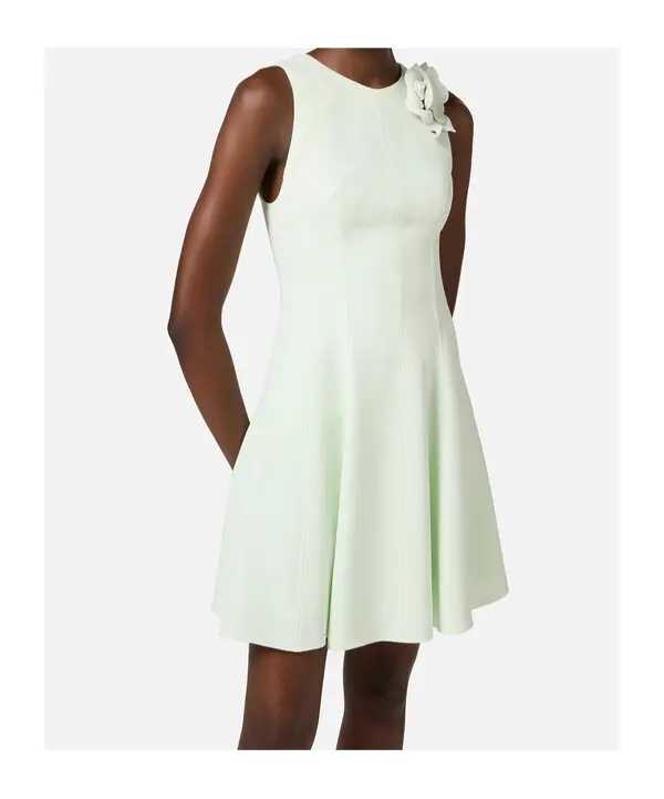 Elisabetta Franchi Flared Crepe Dress With Floral Applique