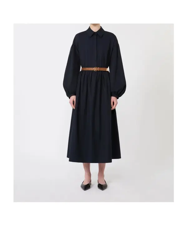 Max Mara Mstmarmo Belted Shirt Dress