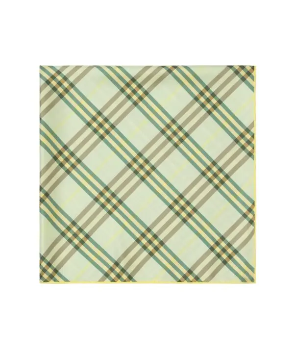 Burberry Checked Finished-edeg Scarf - Breeze