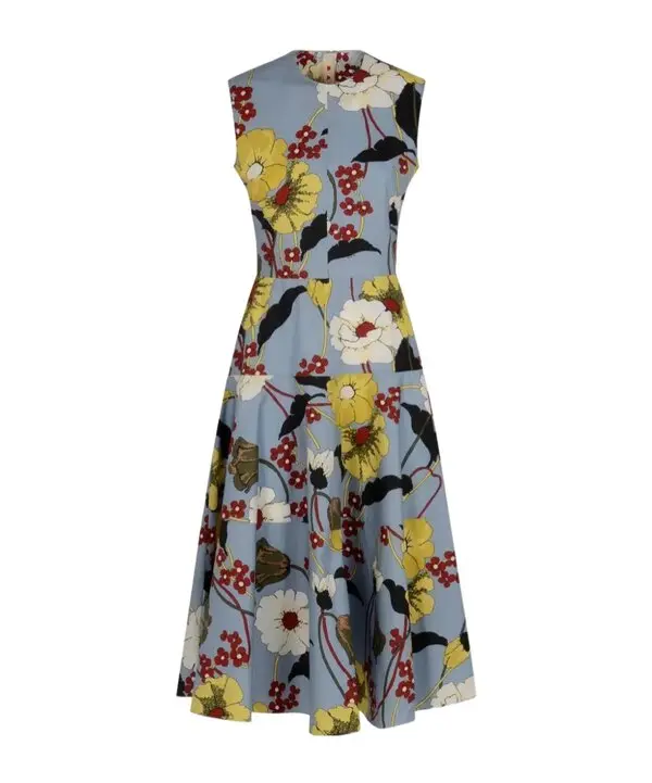 Marni Melodia Print Poplin Midi Dress