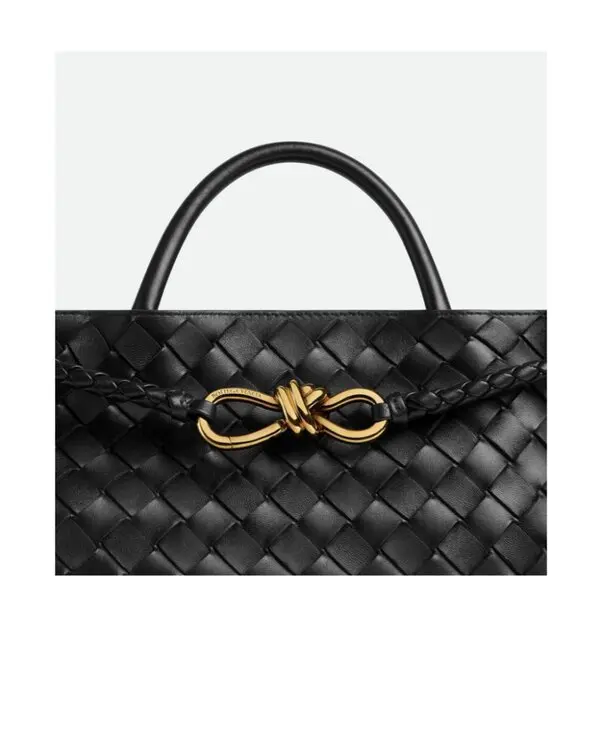 Bottega Veneta East-west Andiamo Bag