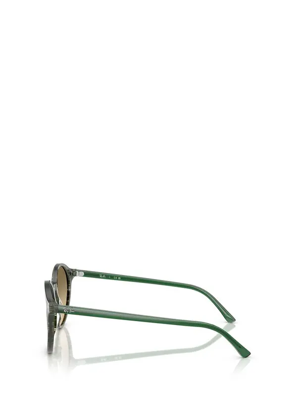 Ray-ban Bernard Round Sunglasses - Brown