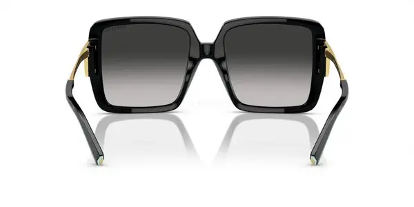 TIFFANY  CO. Tiffany & Co. Square Gradient Sunglasses