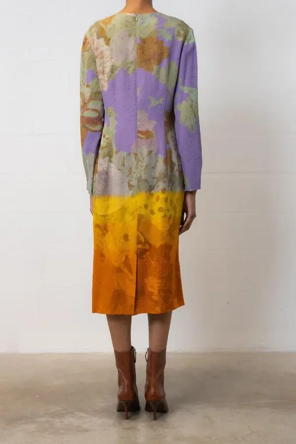 Dries Van Noten Round-neck Long-sleeve Floral Print Dress