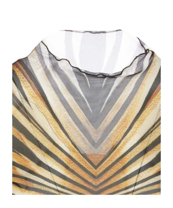 Roberto Cavalli Graphic Print T-shirt