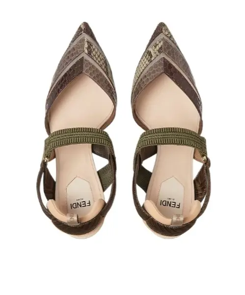Fendi Colibrì Pointed-toe Slingback Pumps - Multicolor