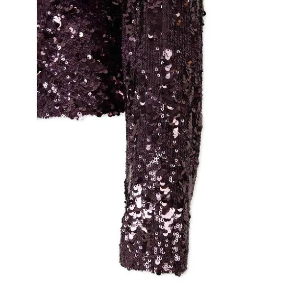 Rabanne High Neck Sequined Long Sleeve Top - Beetroot Purple
