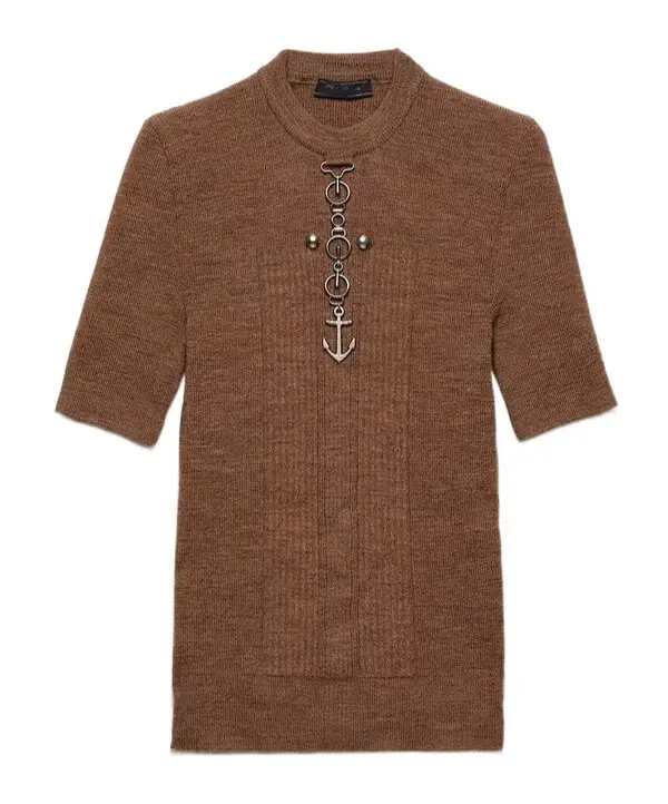 Prada Short Sleeve Crewneck Jumper With Stud Embellishments - Brown