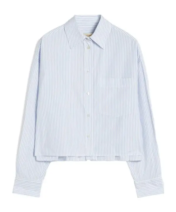 Max Mara Eden Striped Shirt - Light Blue
