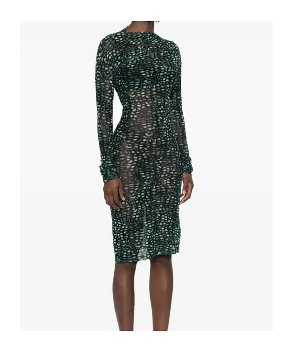 Dries Van Noten Long Sleeve Printed Dress