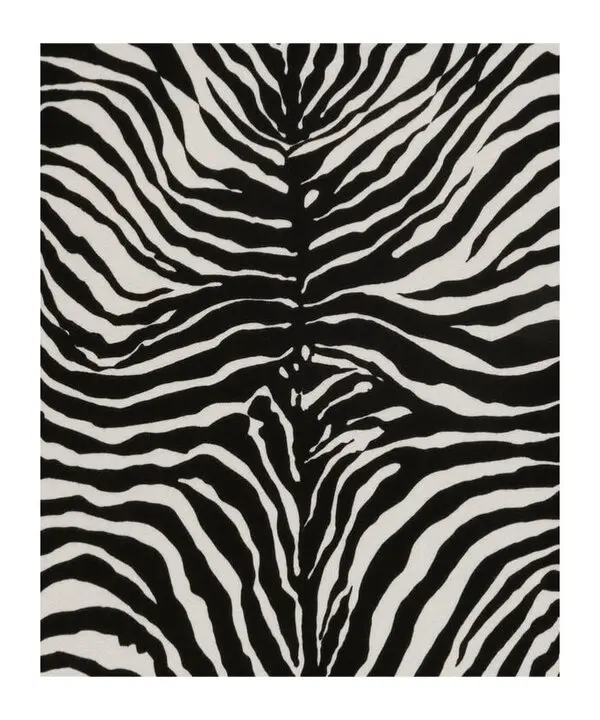 Dolce & Gabbana Dolce Gabbana Zebra Printed Blanket