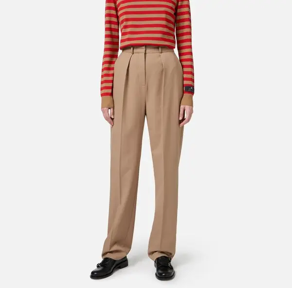 Elisabetta Franchi Tailored Pleated Trousers - Brown