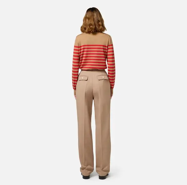 Elisabetta Franchi Tailored Pleated Trousers - Brown