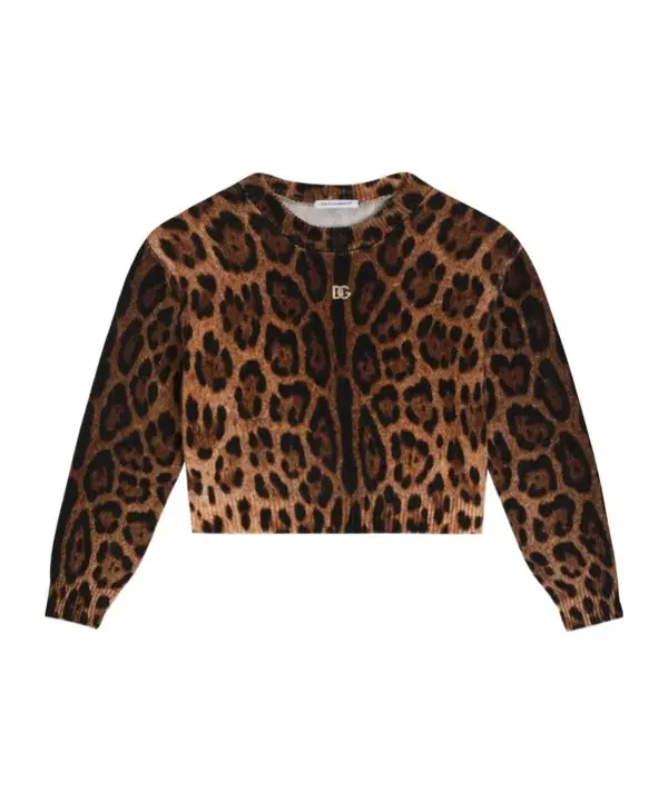 Dolce & Gabbana Leopard-print Crew-neck Pullover - Multi-color