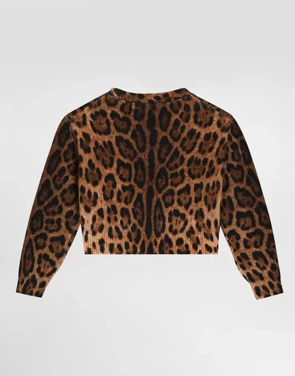 Dolce & Gabbana Leopard-print Crew-neck Pullover - Multi-color