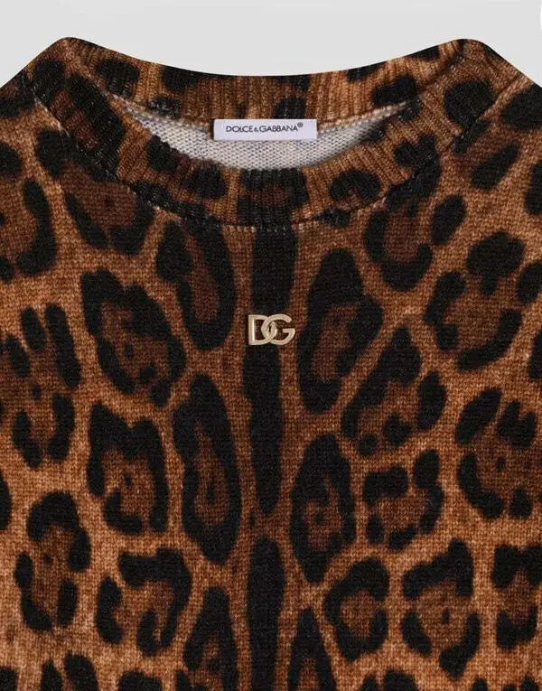 Dolce & Gabbana Leopard-print Crew-neck Pullover - Multi-color