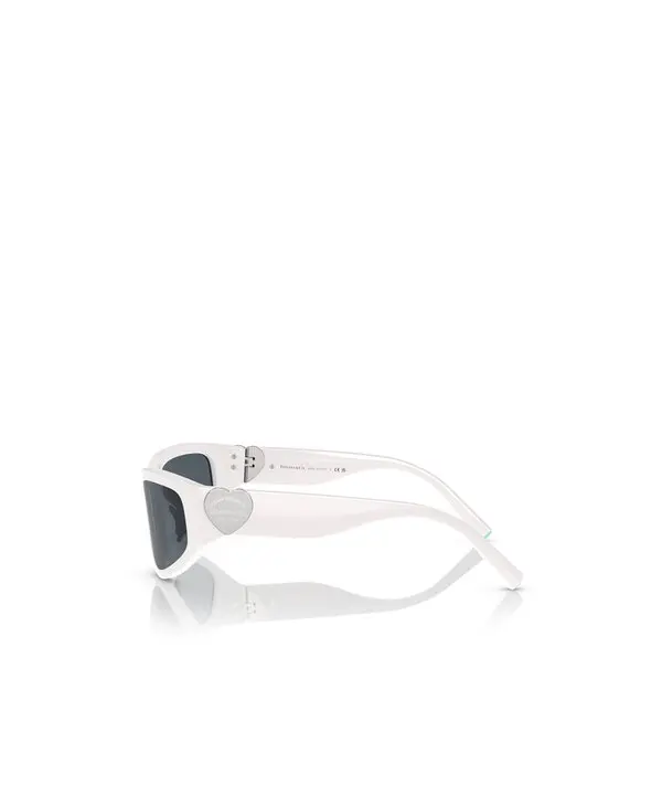 TIFFANY  CO. Tiffany & Co. Geometric Sunglasses
