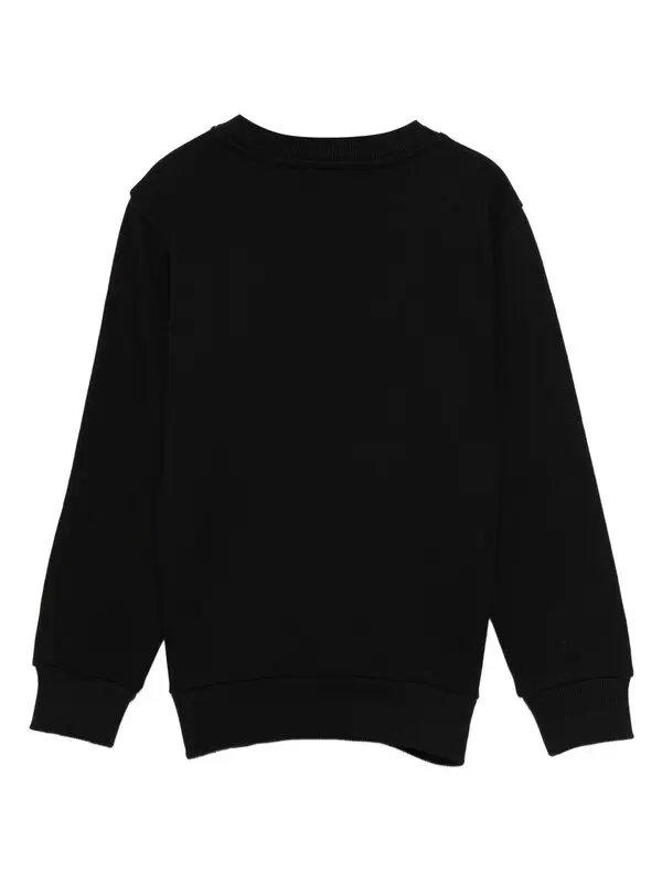 Balmain Lion Emblem Sweatshirt