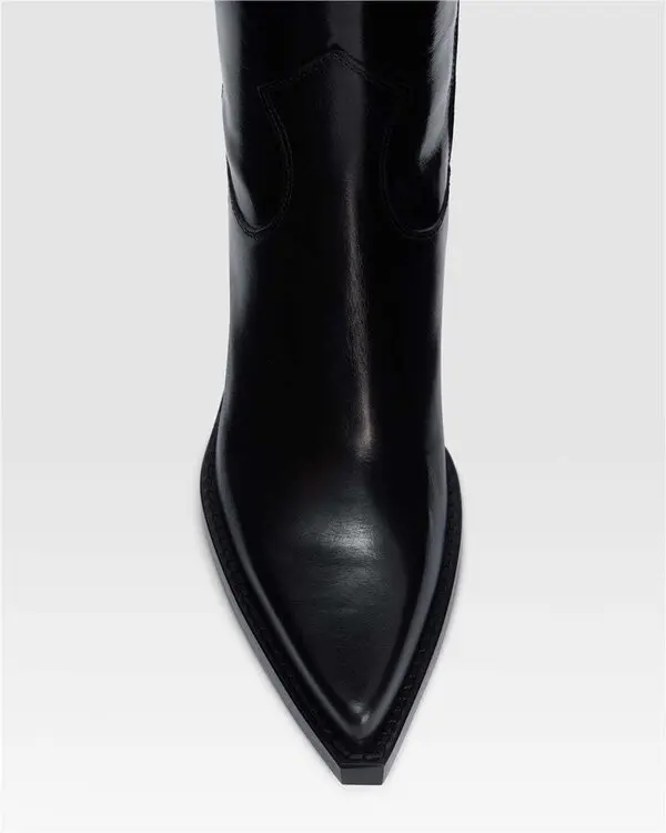 Paris Texas Pointed Toe Zip Up Chunky Heel Boots