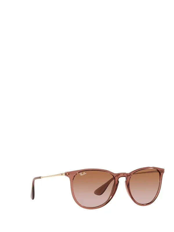 Ray-ban Erika Classic Sunglasses - Brown