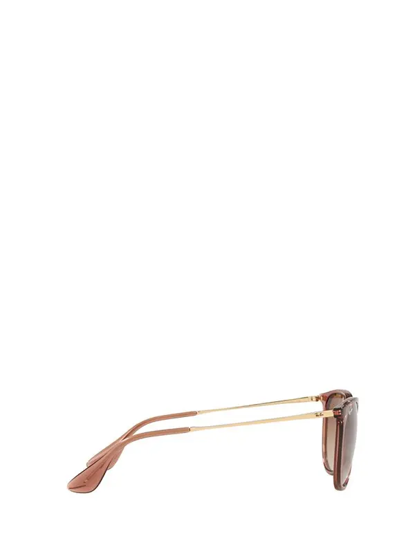 Ray-ban Erika Classic Sunglasses - Brown